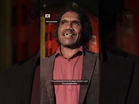 Vincent Namatjira's King Dingo artworks to shine at Sydney's Vivid festival | ABC NEWS