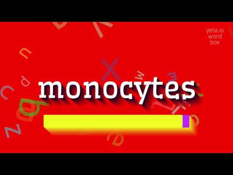 How to say "monocytes"! (High Quality Voices)