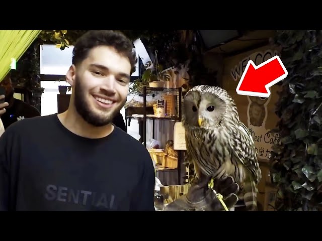 5 most-watched Kick streamers of 2023 so far