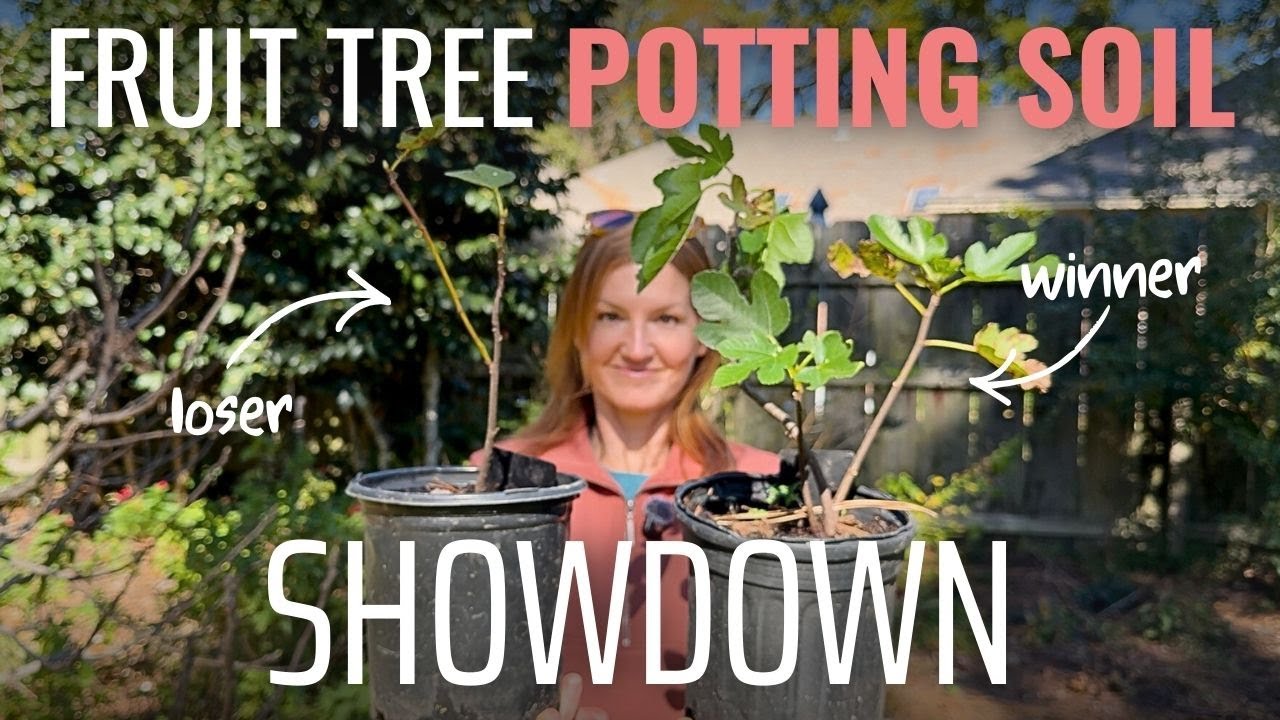 I Spent a Year Testing 5 Fruit Tree Potting Soils—Which Wins?