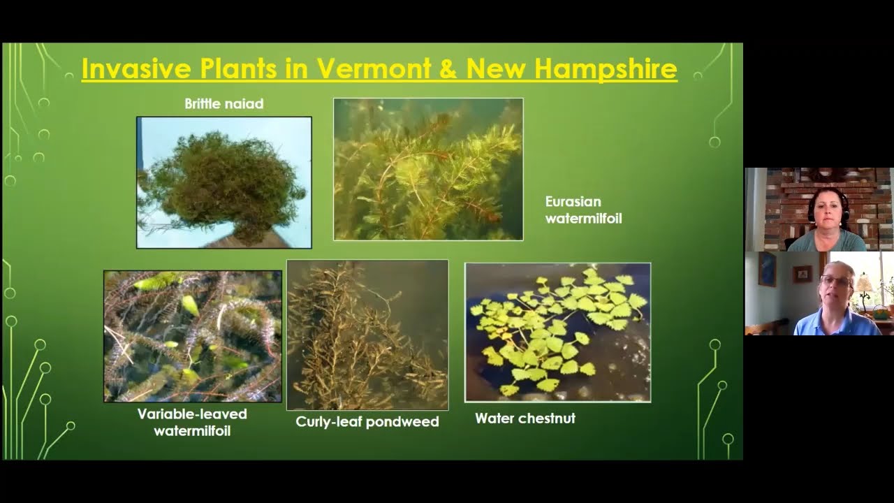 Future of Invasive Species Management