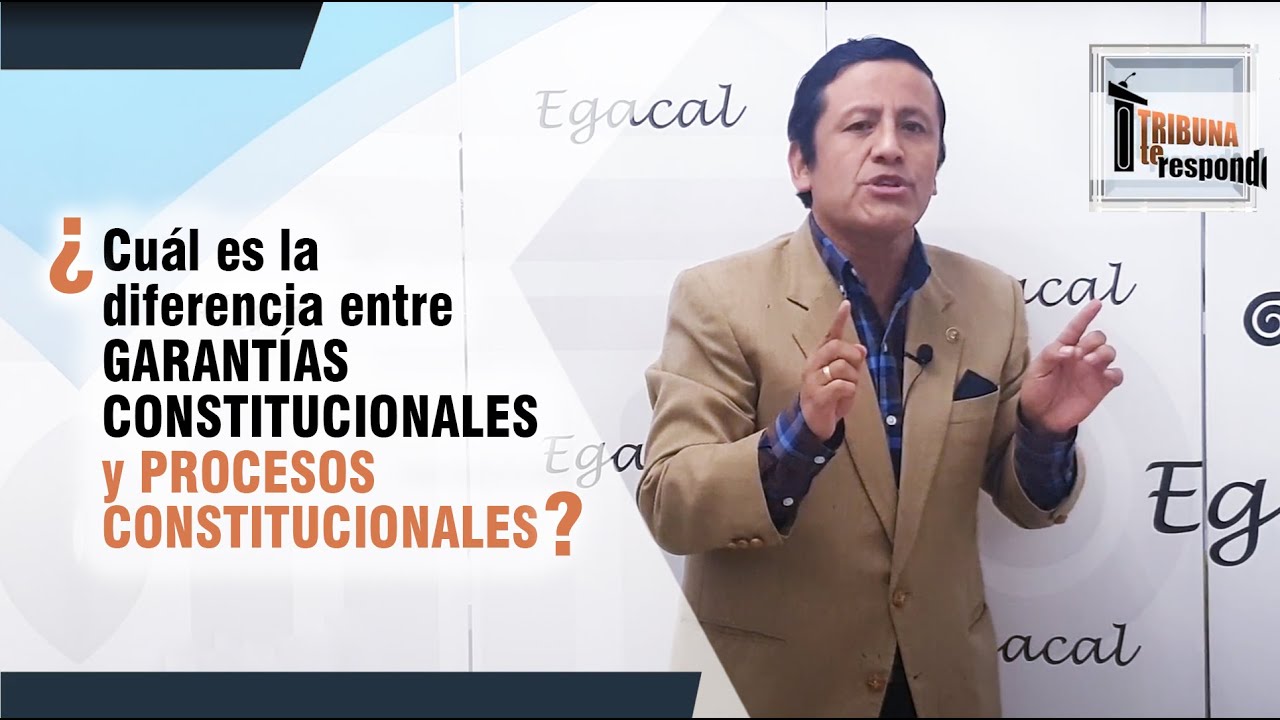Garantías Constitucionales vs. Procesos Constitucionales  - TTR # 195
