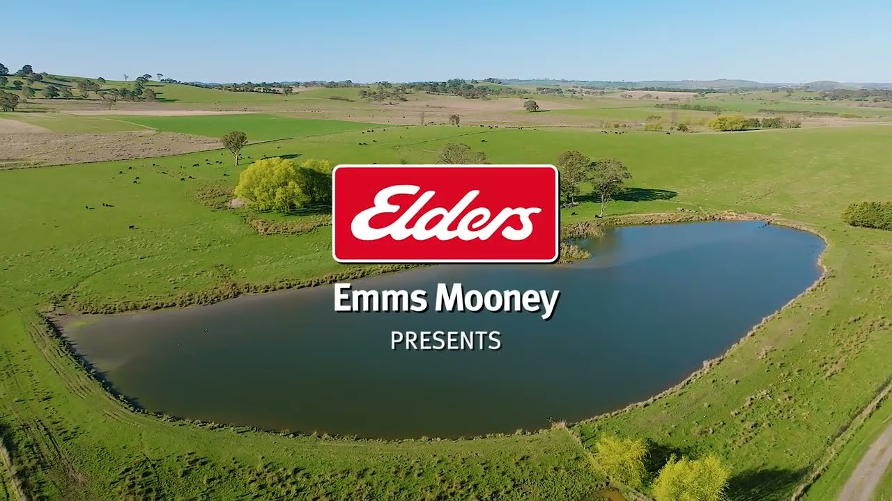 110 & 136 Beneree Road, Tallwood, NSW, 2798 – Sold | Elders Emms Mooney