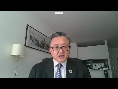 DESA on the key findings of the 2020 Sustainable Development Goals report
