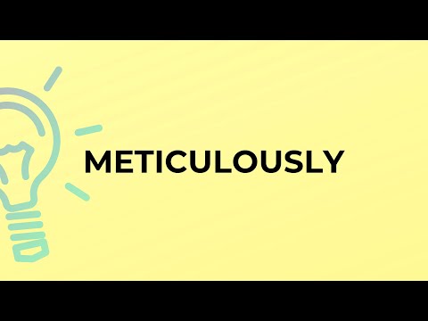 What is the meaning of the word METICULOUSLY?