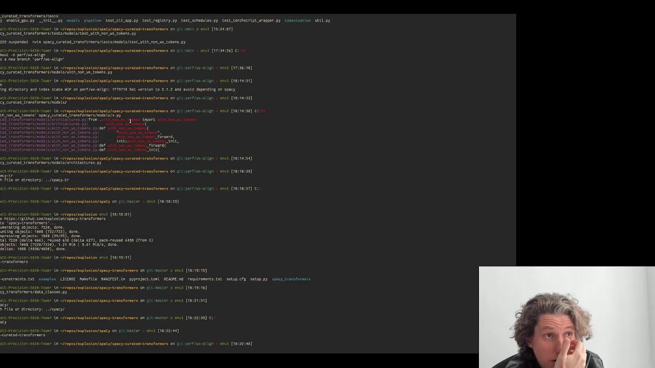 Streaming spaCy (May 23, 2025): Transformers performance