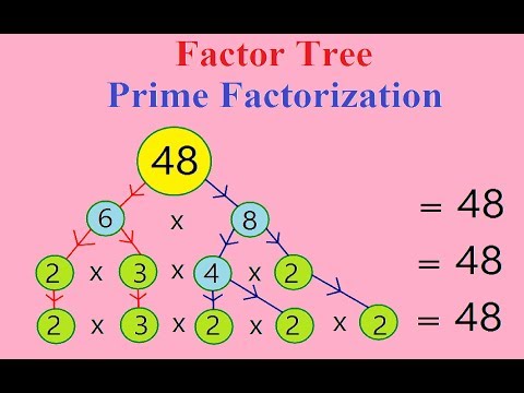 What are Factors & how to prime Factorize them?