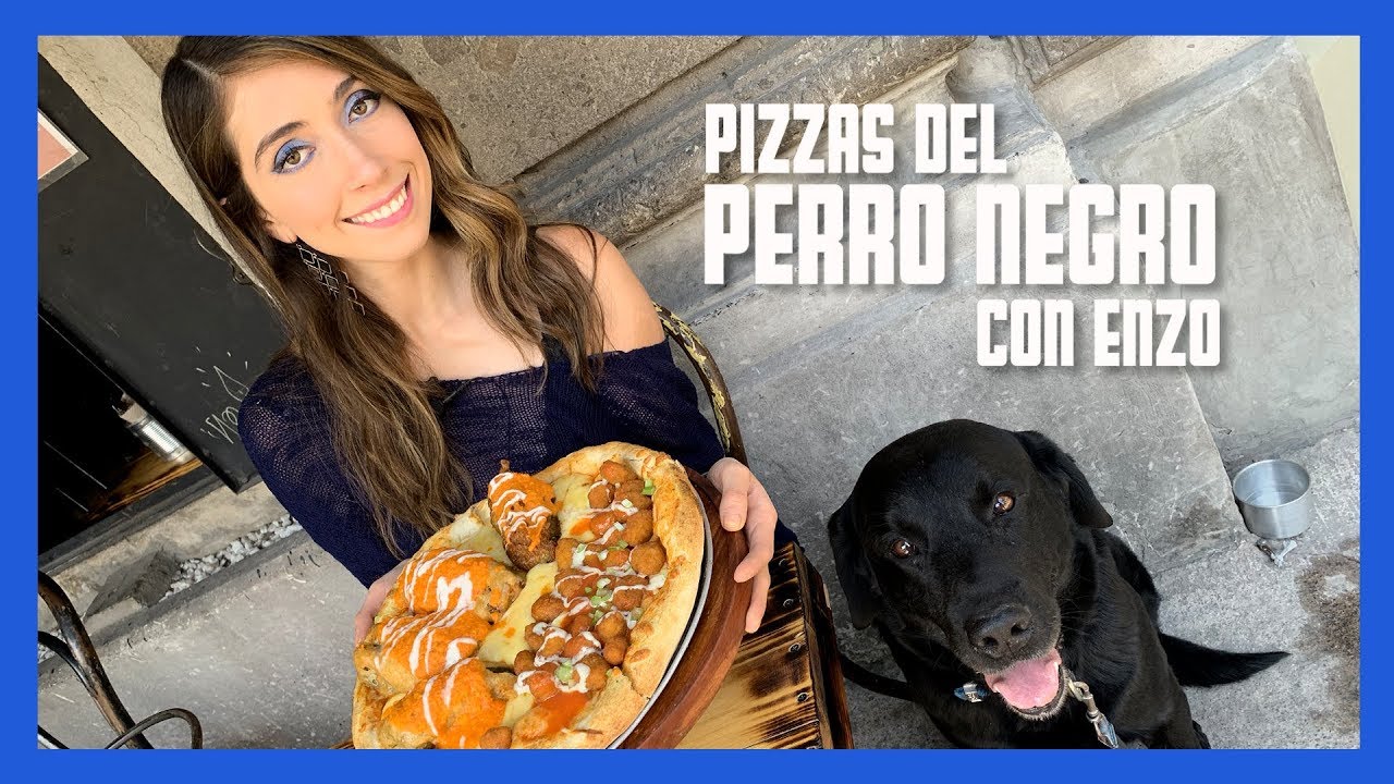 BLACK DOG Pizzas / PET FRIENDLY Route with Enzo 🐶 💕 / Ale Toledano