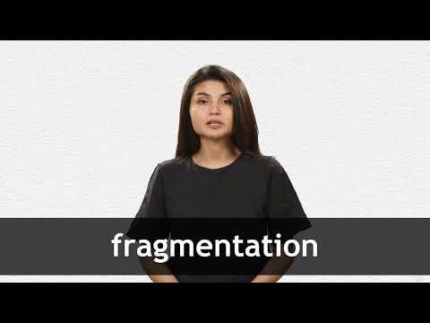 FRAGMENTATION definition and meaning | Collins English Dictionary