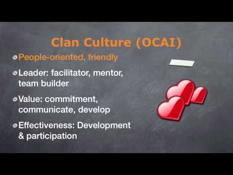 4 Culture Types in Competing Values Framework