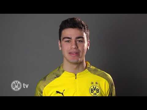 WELCOME TO BVB International Academy Chicago North - JOIN US TODAY!