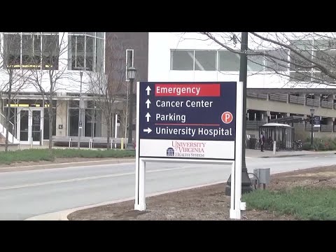 UVA researchers studying mitochondria in relation to inflammatory diseases