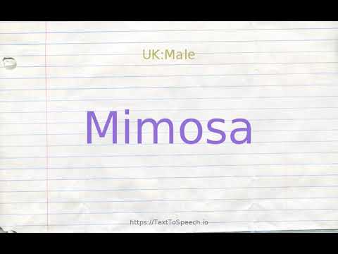 How to pronounce mimosa