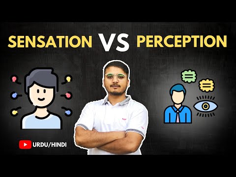 What is Sensation and Perception? Urdu ? Hindi