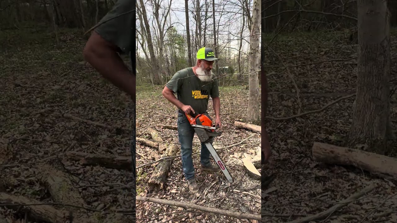 Tree felling educational video!