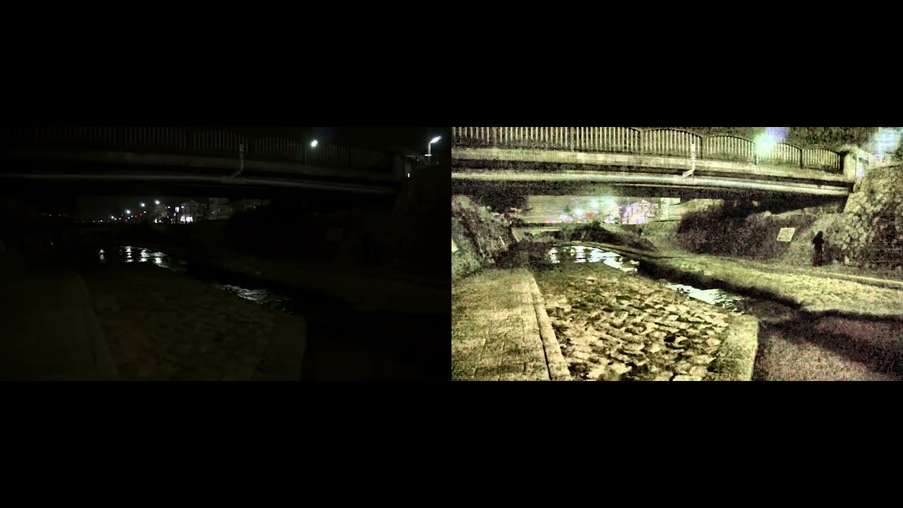 ProHawk AI Restores Nighttime Visibility | Walkway & Bridge