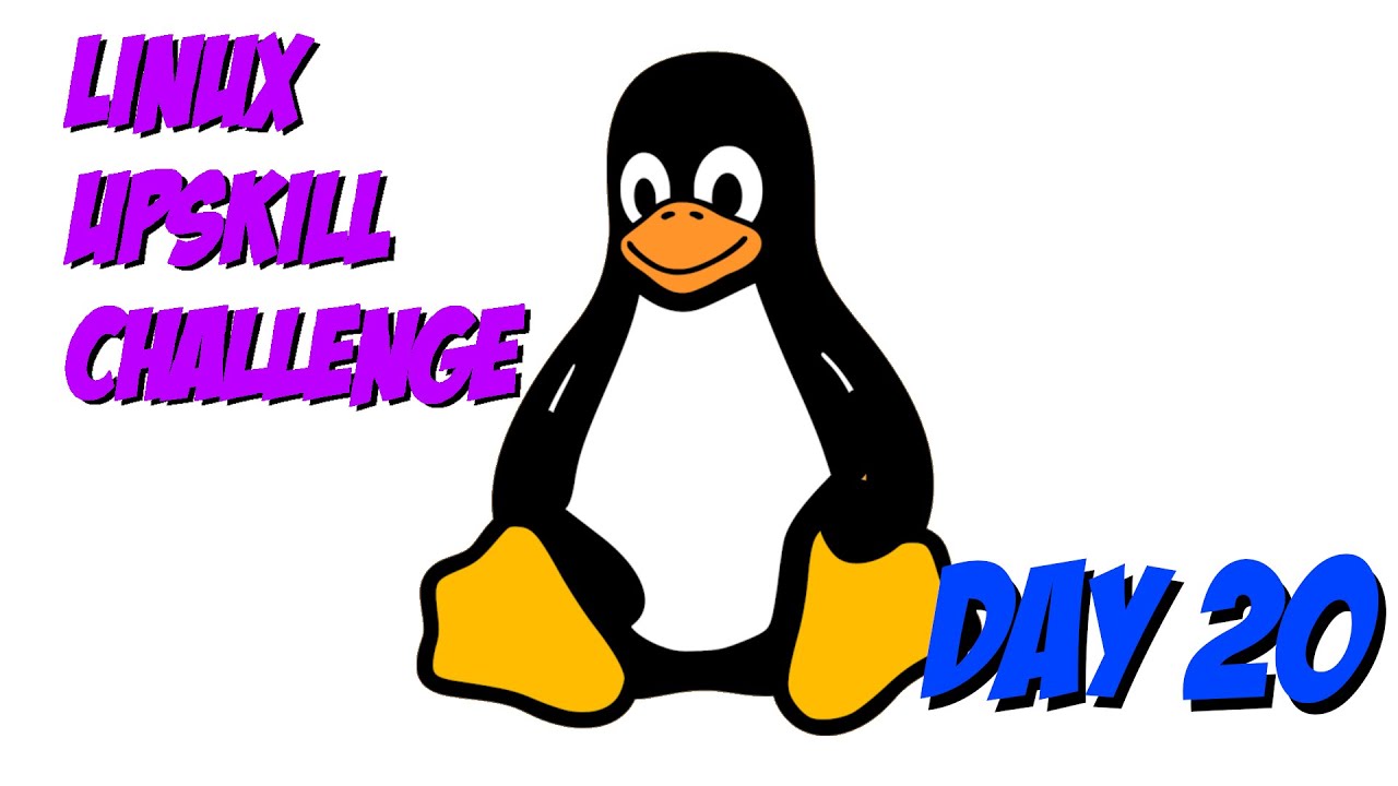 Linux Upskill Challenge - Day 20 (Bash Scripting)