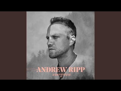 Evergreen Lyrics - Andrew Ripp
