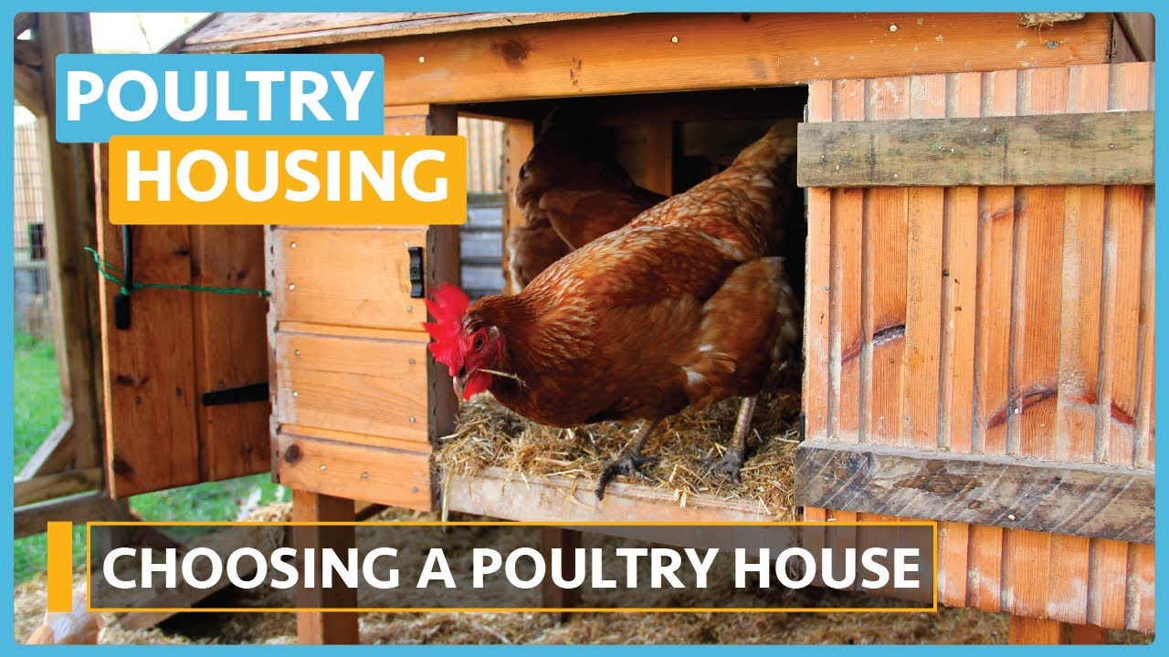 Poultry House Construction (Lesson 2) - Factors that determine choice of poultry house