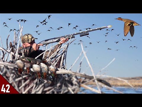 HUGE SWARMS of DUCKS! (Limited Out) | First Duck Hunt with My NEW 28 Gauge
