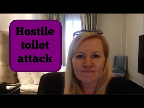 Toilet seat attack | The Super Serious Travel Blog
