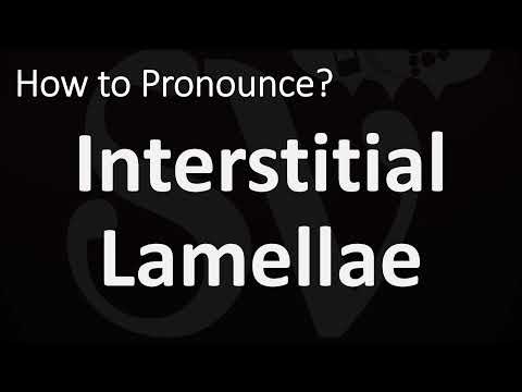 How to Pronounce Interstitial Lamellae? (CORRECTLY)