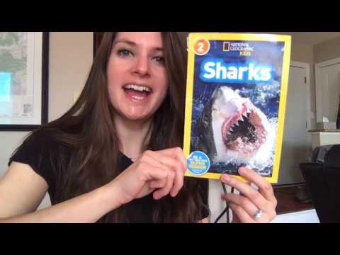 National Geographic Kids "Sharks" by Anne Schreiber 1 of 2