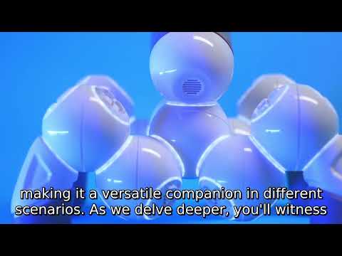 Exploring Advanced Humanoid Robot Features