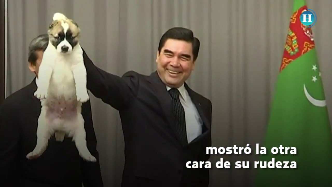 Vladímir Putin... ¿Amante de los perros?