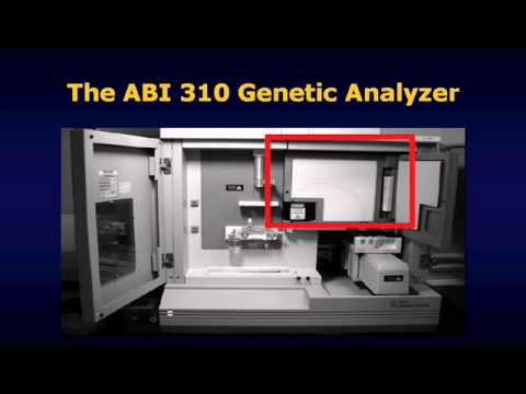 Generating forensic DNA profiles