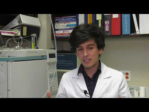 Francisco Haces Environmental Engineering - Student Profile - (2019)