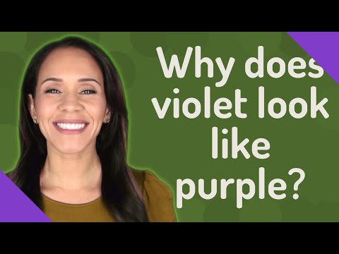 Why does violet look like purple?