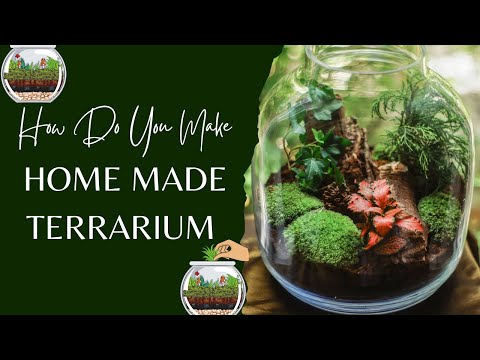 How to Make a Simple Terrarium in 5 Minutes | Gardening Tips | Terrarium for Beginners