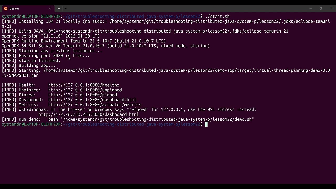 Day 22: Virtual Threads and Thread Pinning Diagnosis