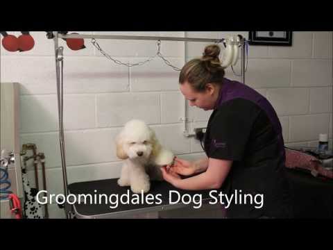 Groomingdales. VideopostcardsUK