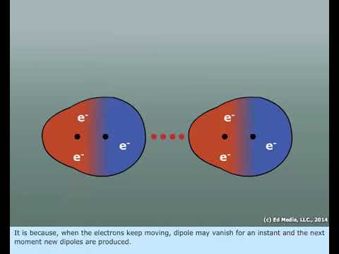 intermolecular forces in liquids