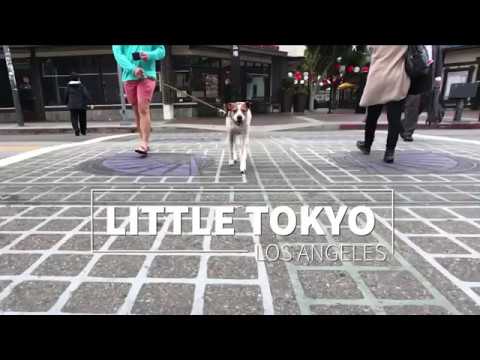 Things to do in Los Angeles California - Little Tokyo