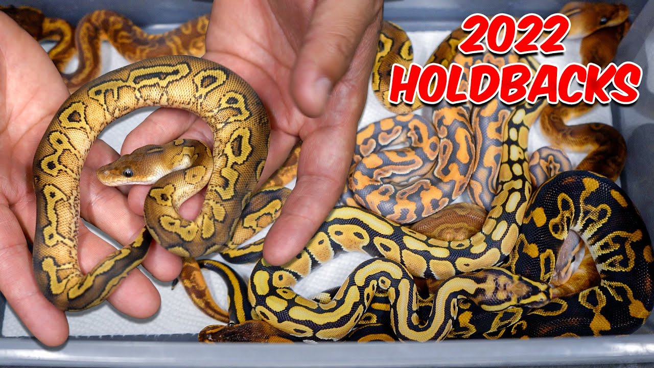 Finally! Sharing Our First Holdbacks 2022!