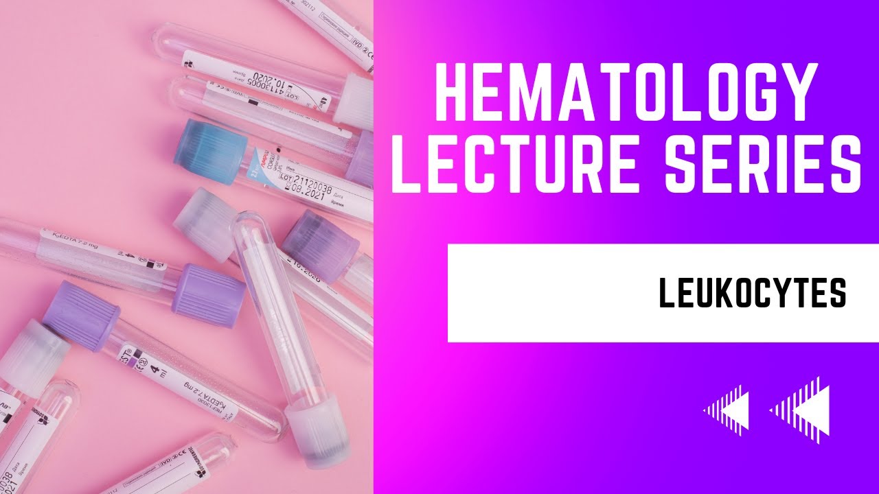 Leukocytes-Hematology Lecture Series