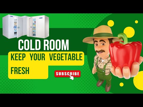 Cold Storage Room Rental Services, Cold Storage Rental in India