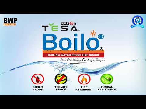 Action Tesa Boilo - Action Tesa Boilo (BWP- HDF Board) Manufacturer ...