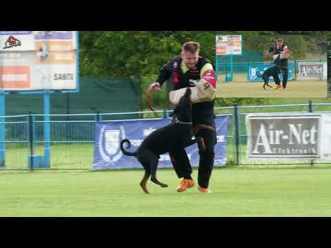 Natáčanie videí :: JLDog