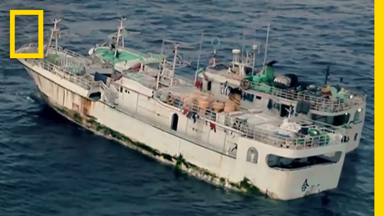 Lawless Longliners | Lawless Oceans