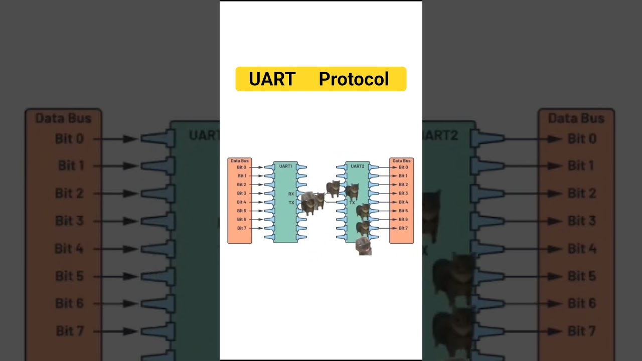 UART Protocol Simple Explanation #uart #usart #embedded
