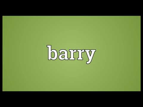 Barry Meaning