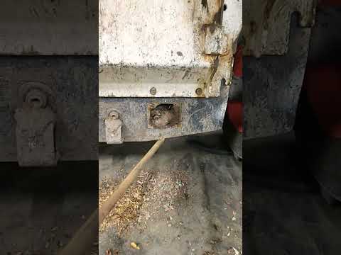 Clean your bobcat the EASY way! #satisfying #bobcat #landscape #hardscape #fyp