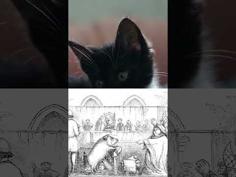 Strange but True: Animals on Trial in Medieval History