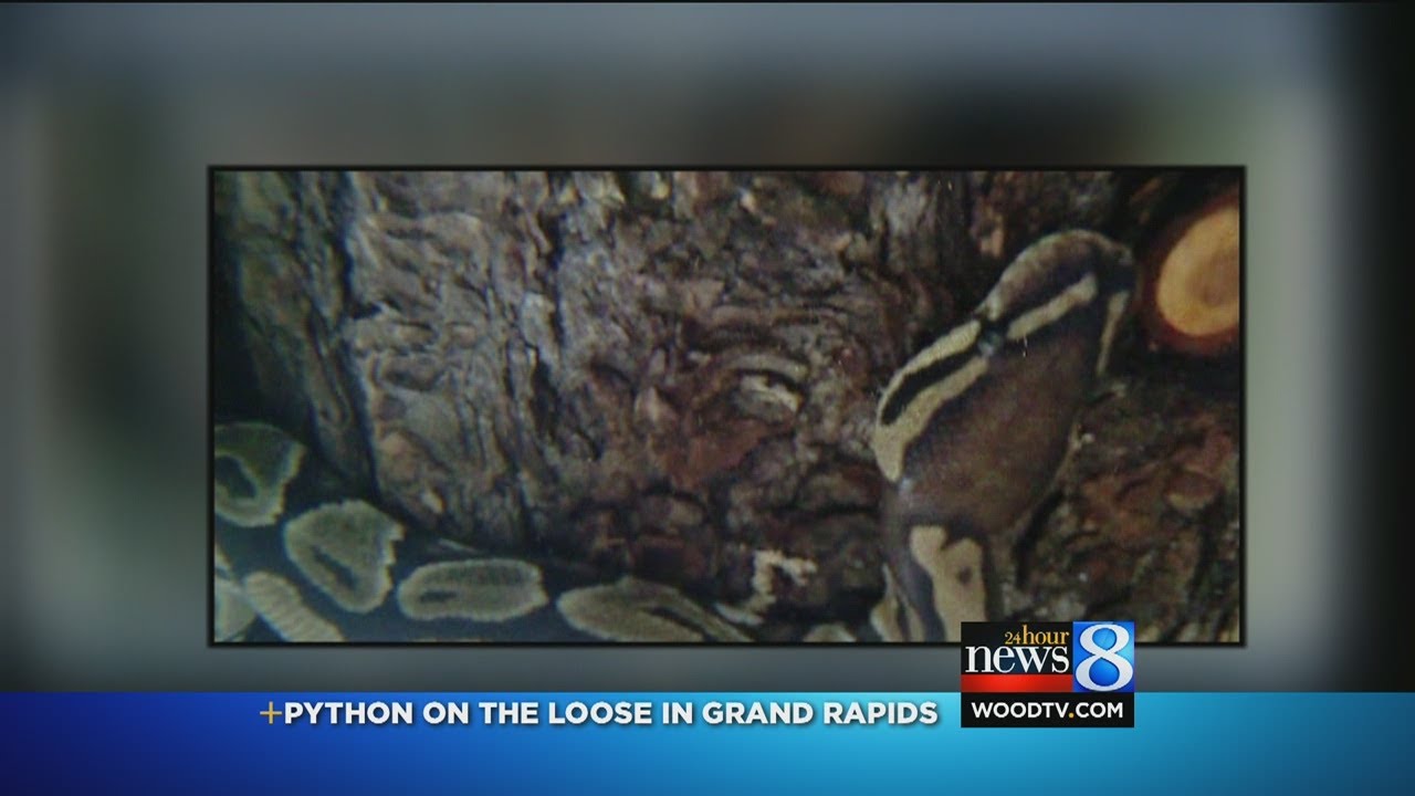 'Big Sid' captivated West Michigan in 1978