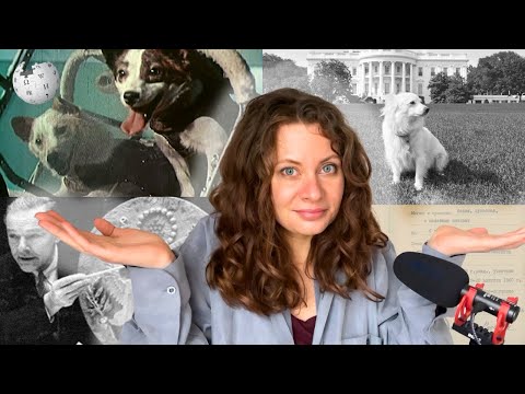 Learn Russian with Wikipedia 🌐 | Story about Puppies, Space, and CIA