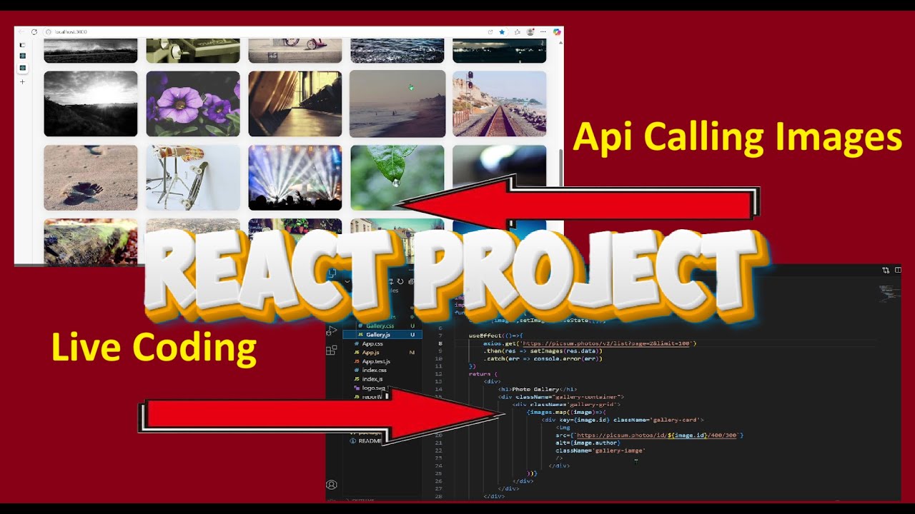 React Image Gallery with API Integration | Axios + Lorem Picsum | Beginner React Project